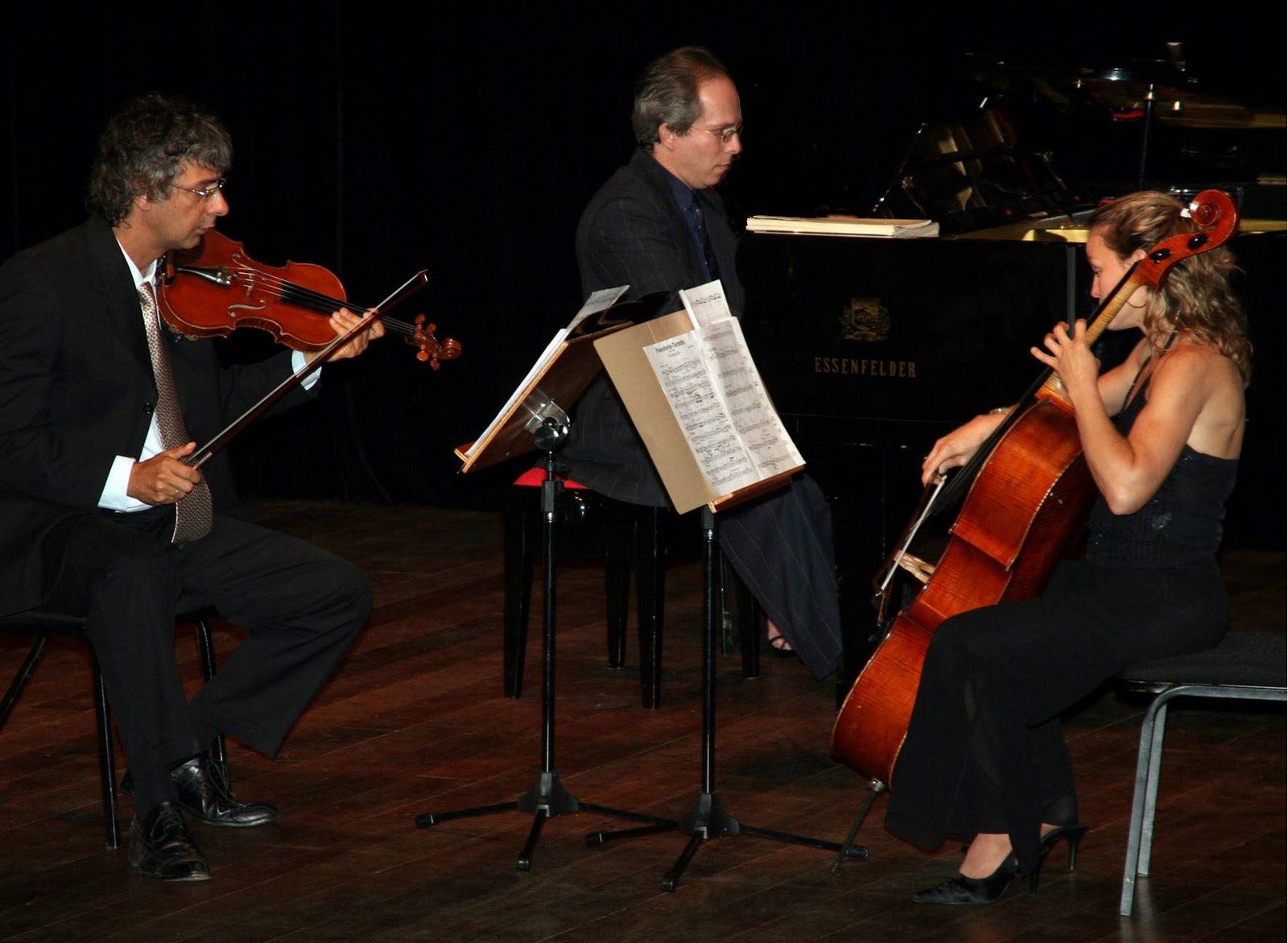 Miriam Bemelmans: Dia 8 de outubro, concerto do São Paulo Arte Trio de ...